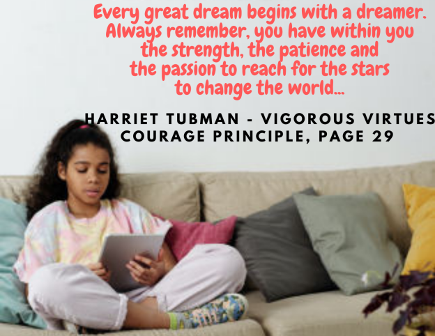 Virtues Academy – Virtuous Academy